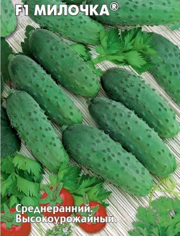 Коллекционные семена огурца F1 Милочка