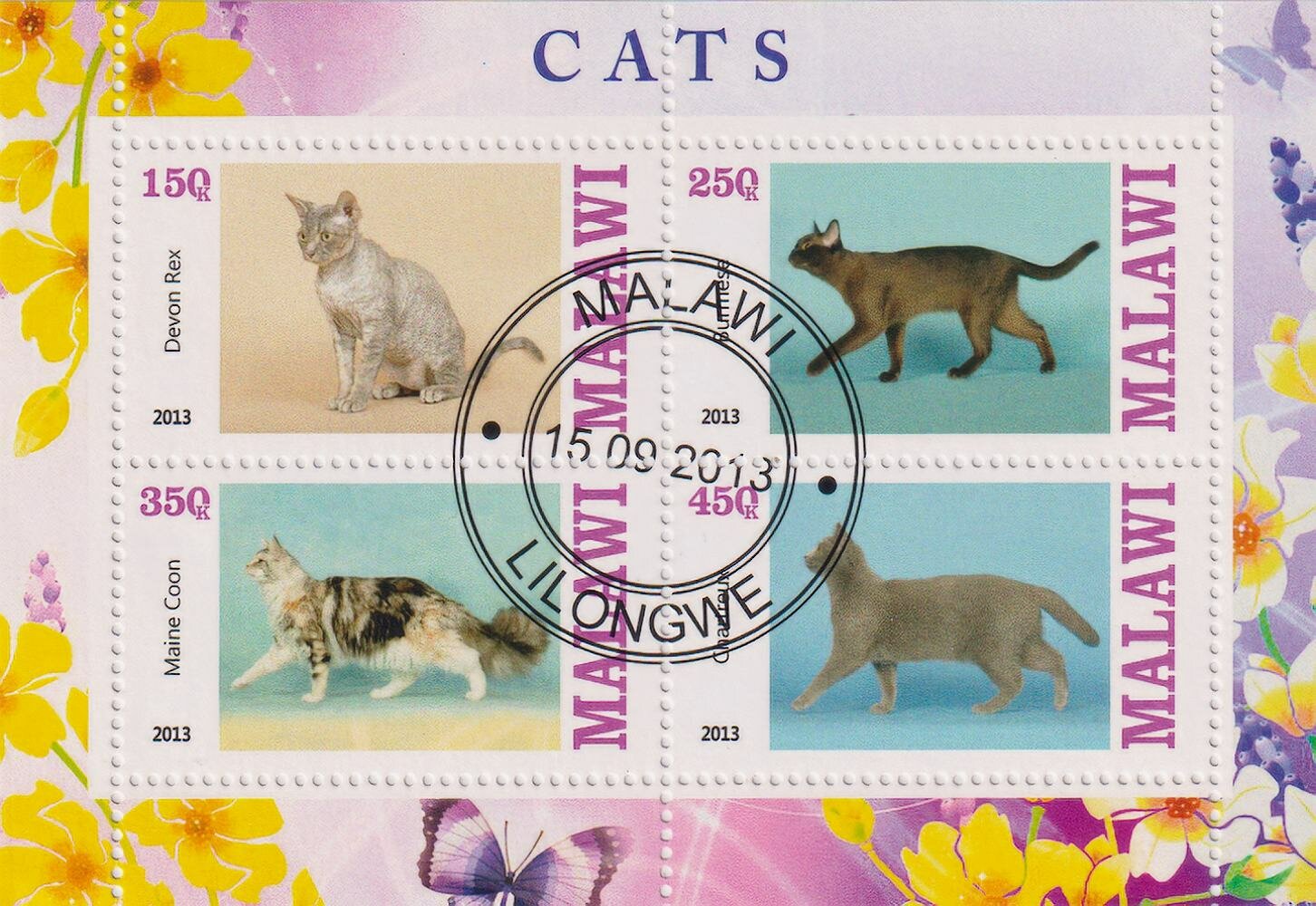 Почтовые марки Малави 2013г. "Кошки" Домашние кошки U