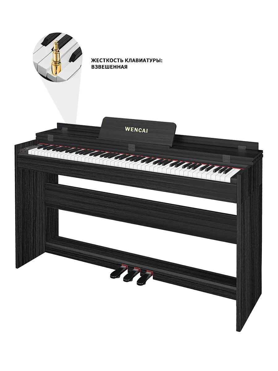 Цифровое пианино WENCAI BL-8812,128 тембров,88 клавиш, взвешенной клавиатурой молоточковой, с педаль сустейна, черный