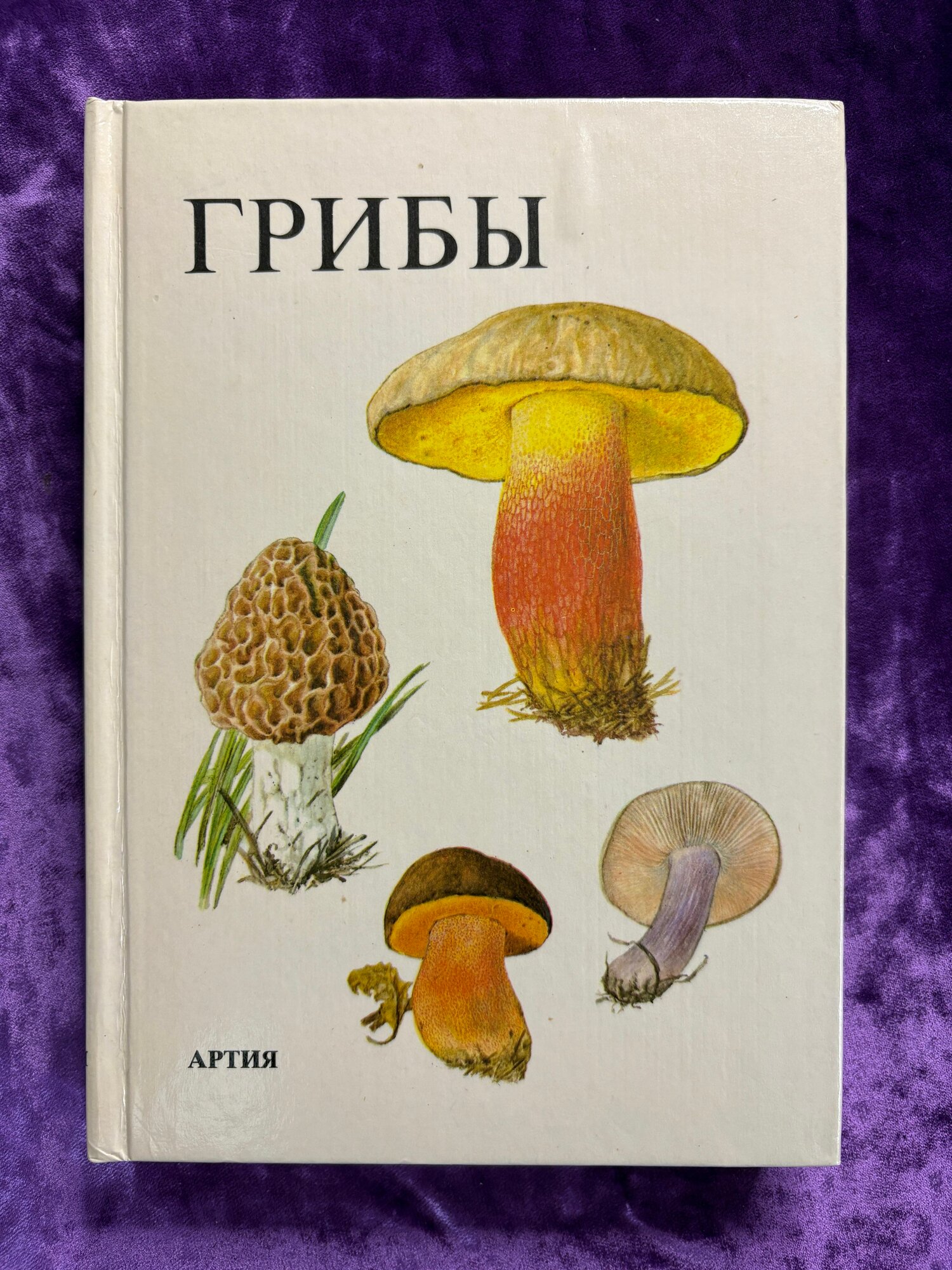 Грибы