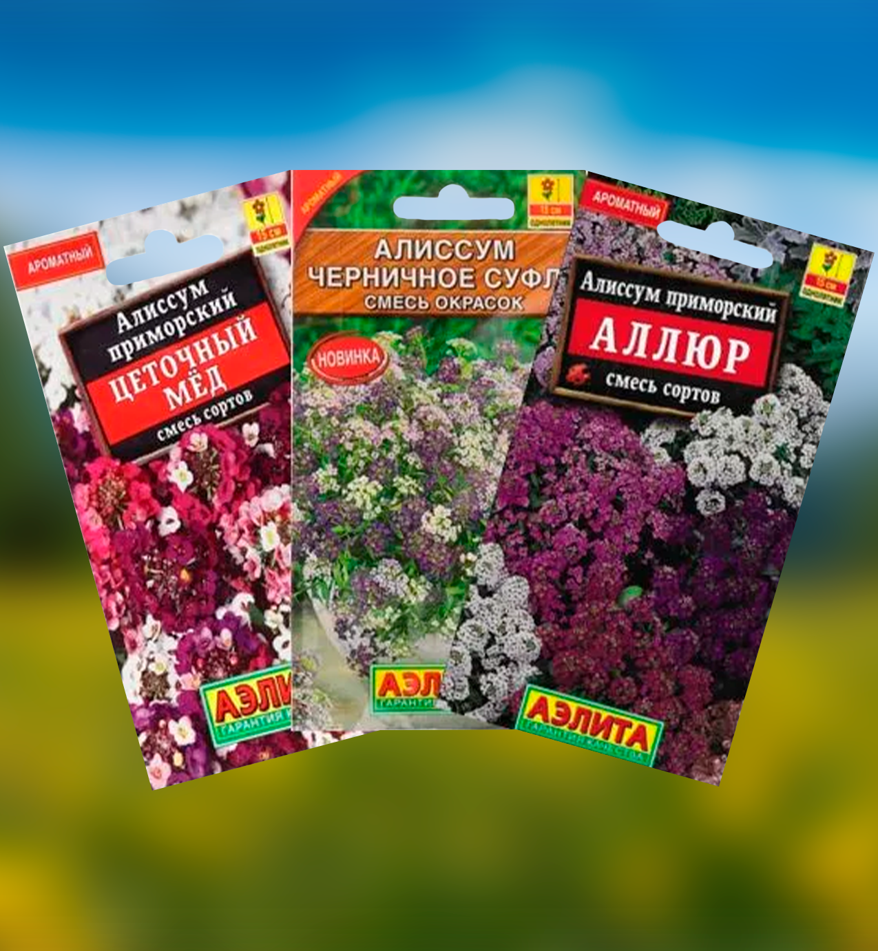 Набор семян Алиссума Аллюр, Цветочный мед, Черничное суфле 3 пачки