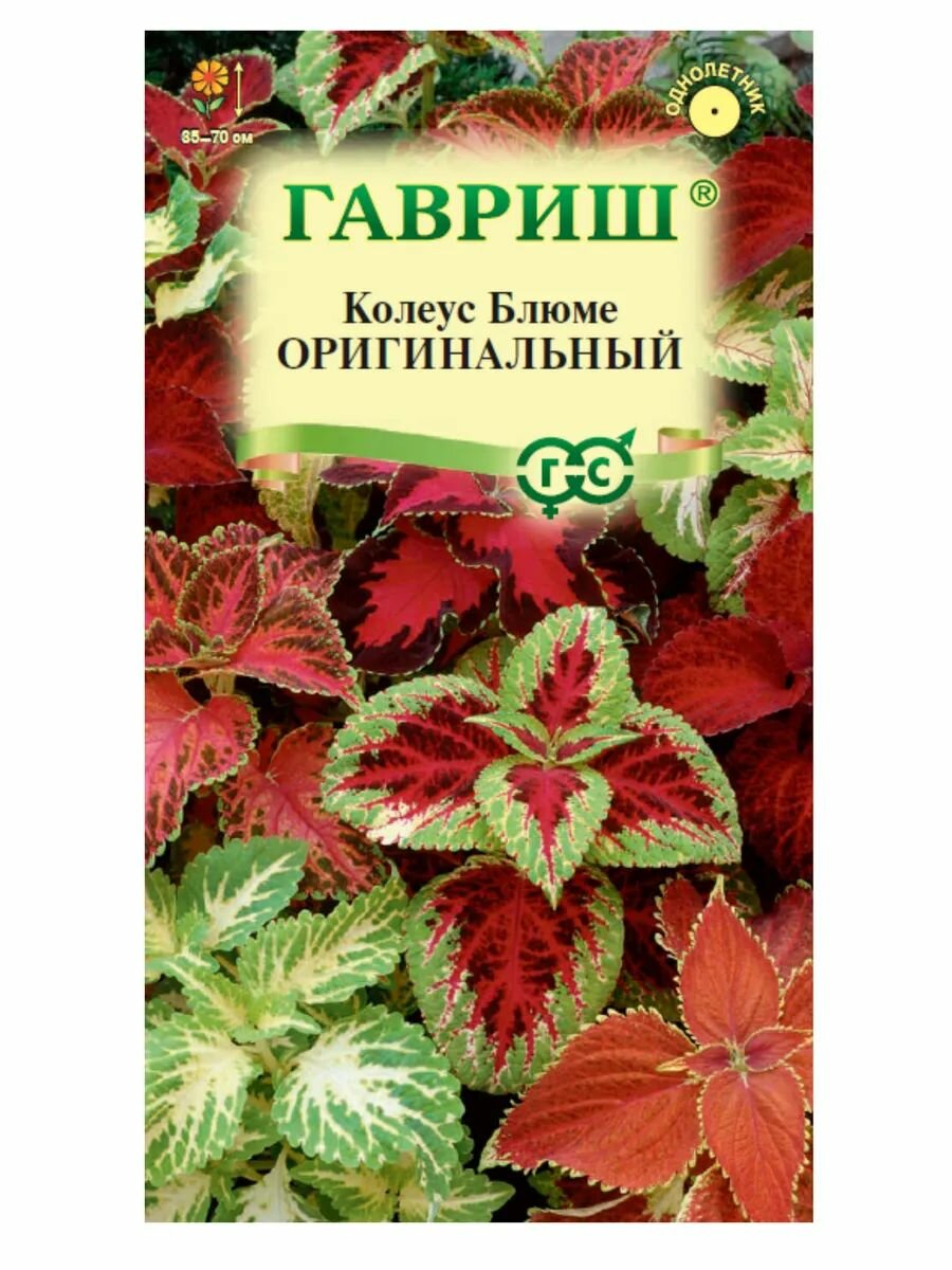 Семена цветов колеус Блюме смесь многолетняя. Гавриш.