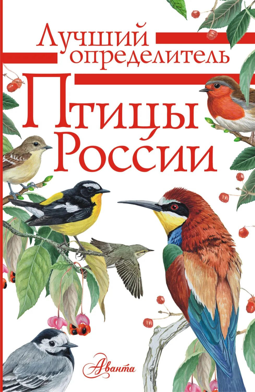 Птицы России [Цифровая книга]