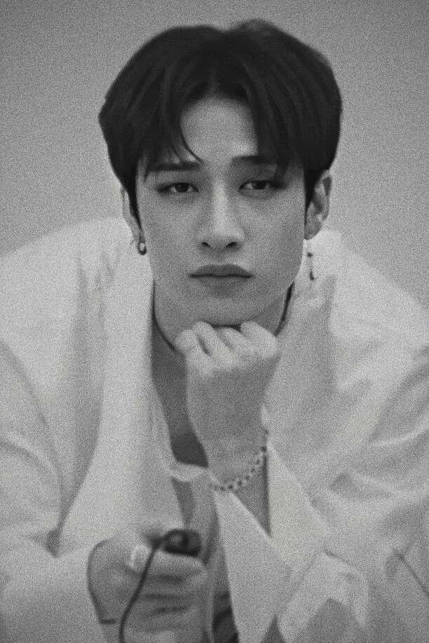 Алмазная Мозаика "Stray Kids Банчан Bang Chan" 40х50 Алмазная Вышивка / Картина Стразами