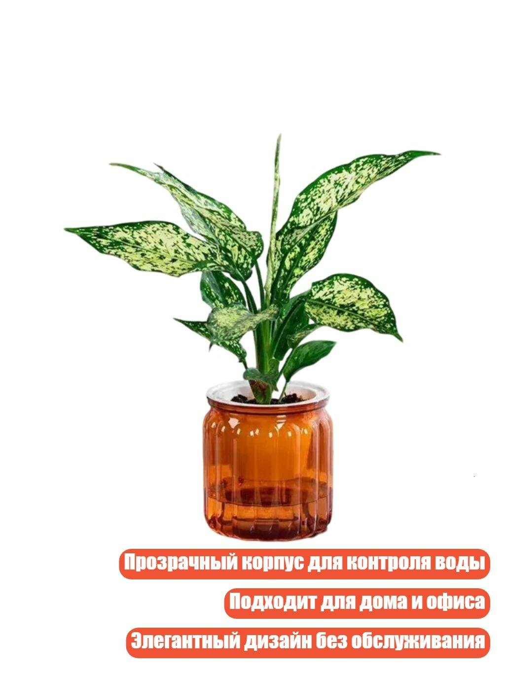 Самополиваемые горшки для суккулентов, прозрачный оранжевый