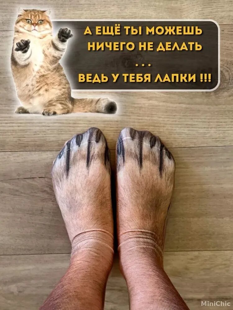 Носки спортивные , размер ONE SIZE, коричневый — фото 1