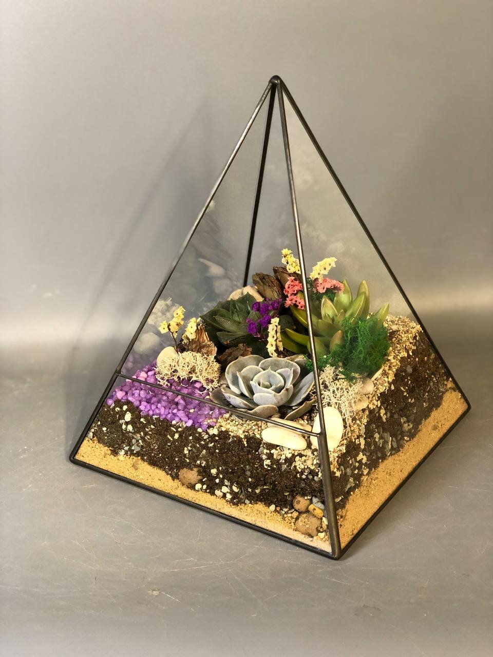 Флорариум с суккулентами и фиолетовым декором в форме пирамида «Клеопатра»