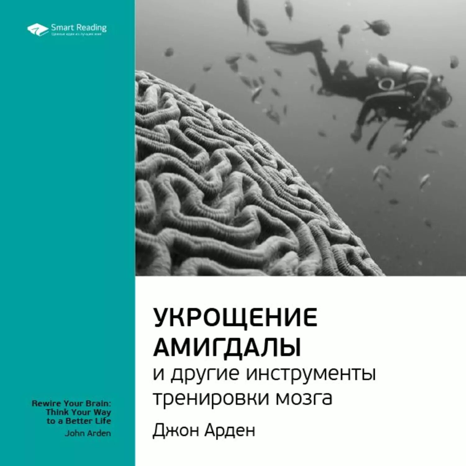 Ключевые идеи книги: Укрощение амигдалы и другие инструменты тренировки мозга. Джон Арден [Аудиокнига]