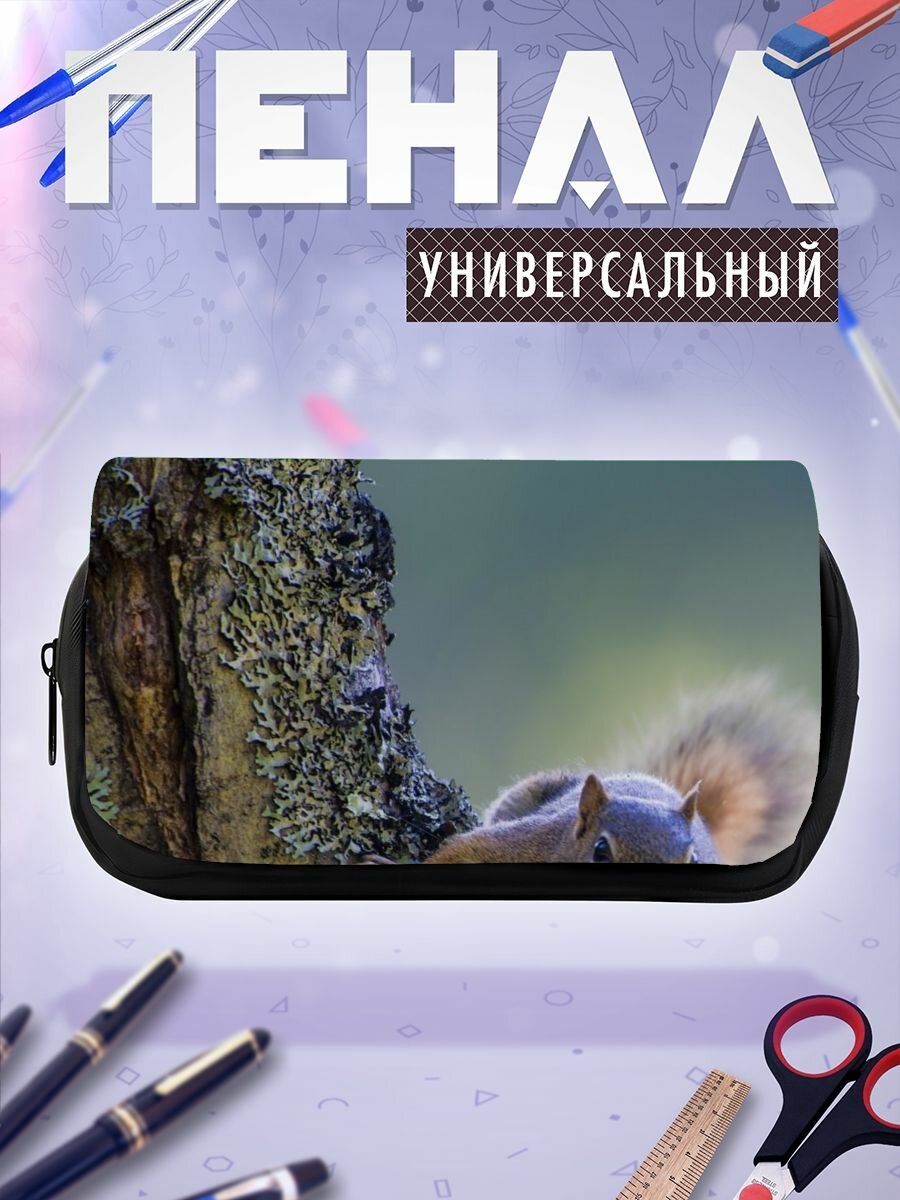 Школьный пенал бурундук грызун