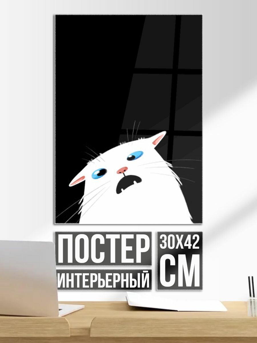Постер на стену Белый кот в недоумение