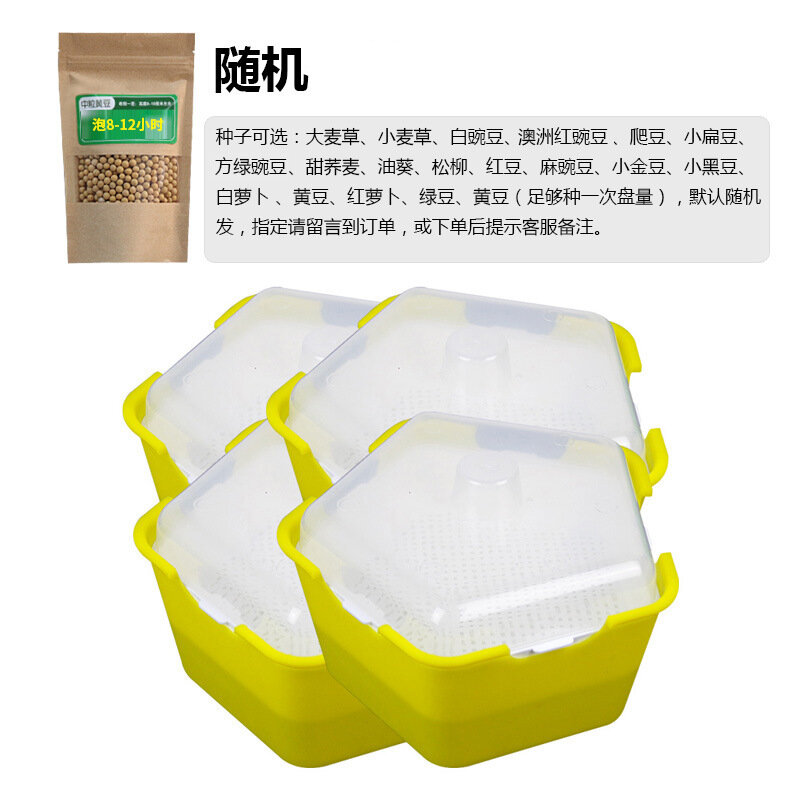 Гидропонные рассады чеснока, лук-шалот, ростки фасоли, поддон для посадки, зеленые ростки, поддон для рассады, беспочвенное выращивание, семена чеснока