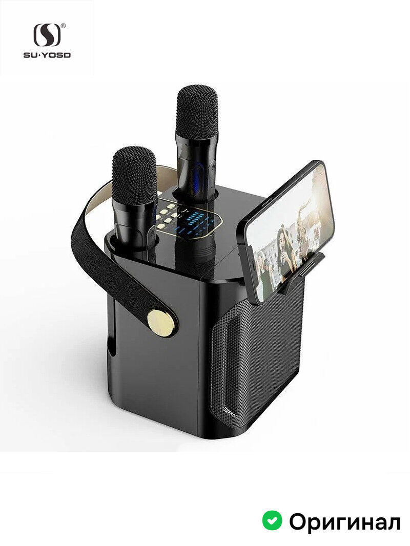 Караоке система с двумя микрофонами Koleer S882 (10W/TF/USB) черный