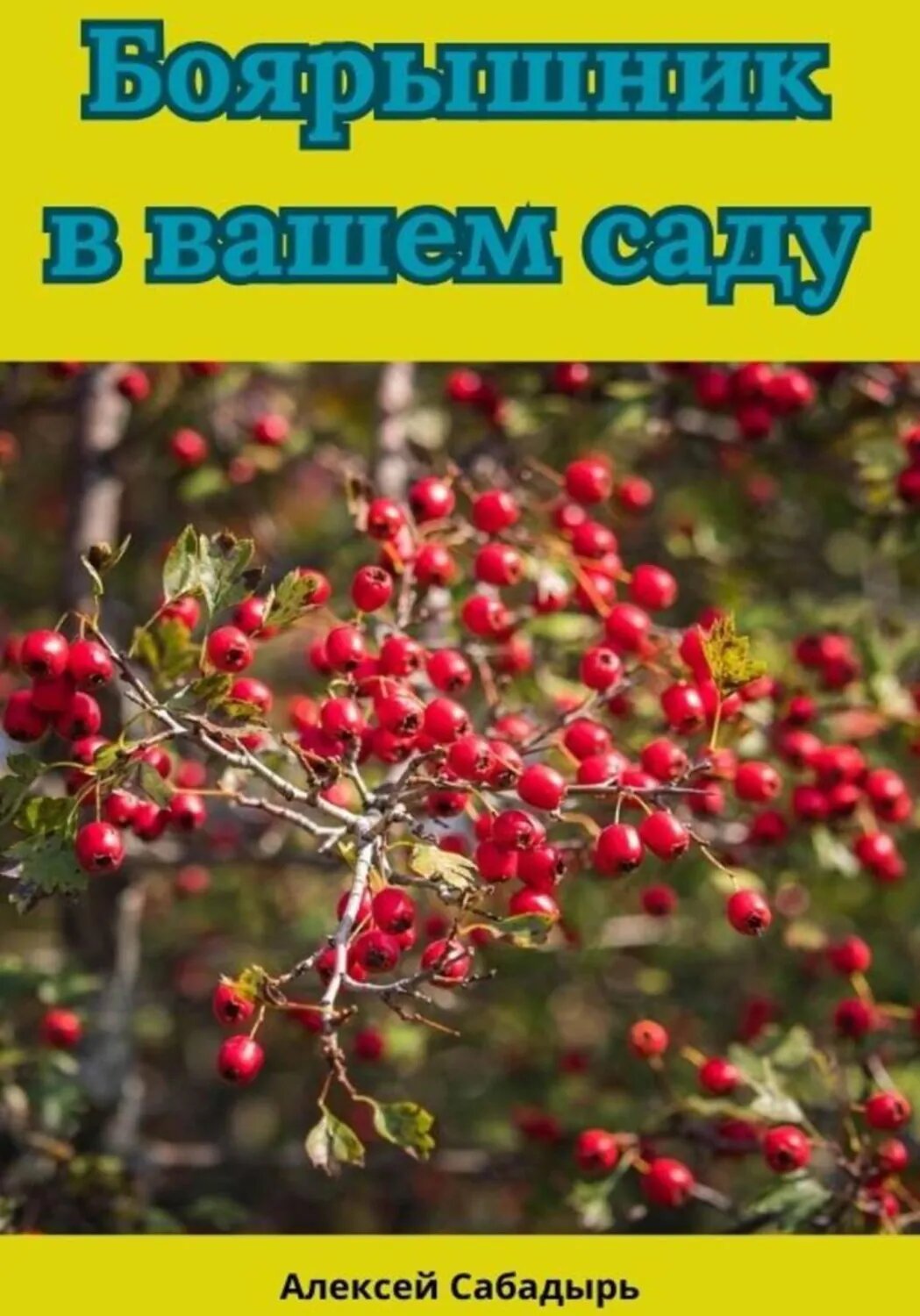 Боярышник в вашем саду [Цифровая книга]