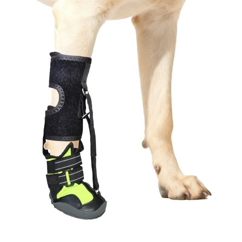 Корректирующий бандаж для собак при падении лапы, черный зеленый - L