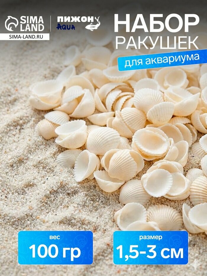 Набор ракушек декоративных 1.5-3 см, 100 г