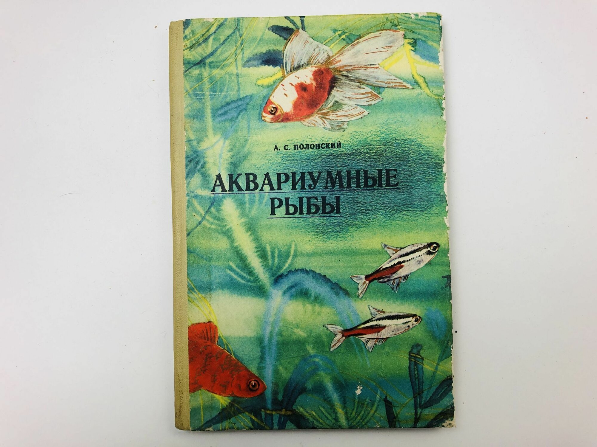 Аквариумные рыбы