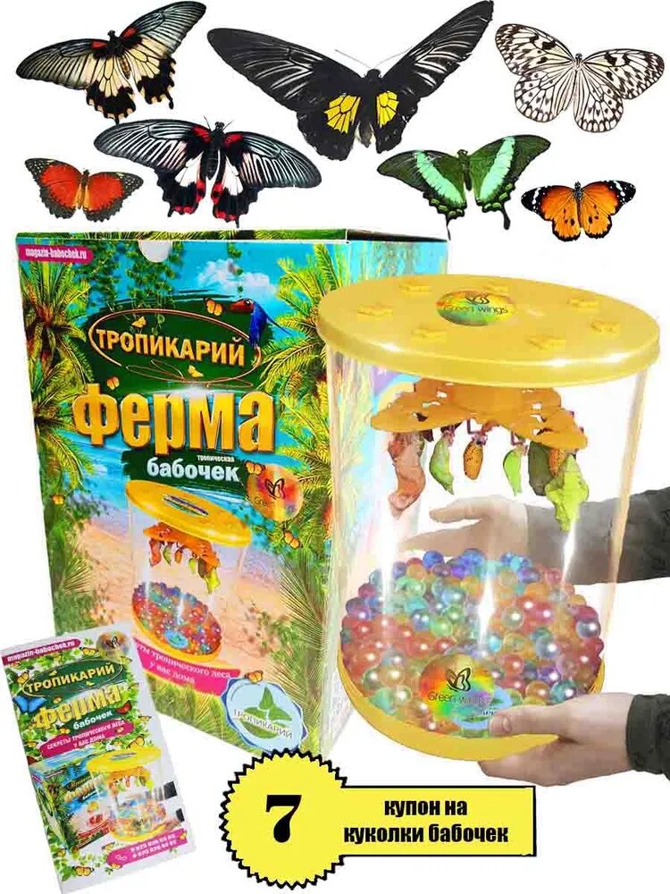 Ферма Бабочек "Тропикарий" купон на 7 куколок