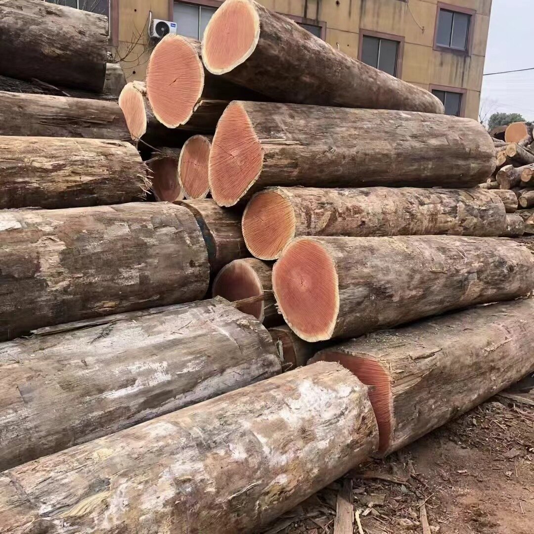 Папуа-Новая Гвинея Красные твердые древесные бревна Белые твердые древесные бревна Продажа досок Поднос для чая Полные характеристики Скидка Цельная древесина Устойчивость к коррозии