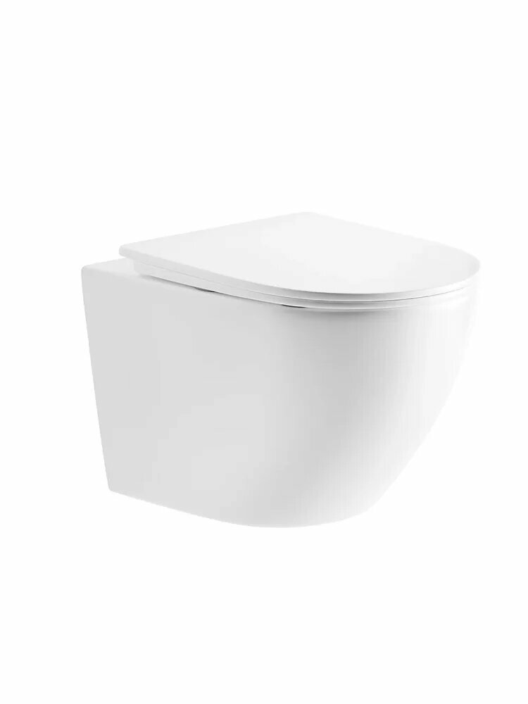 Унитаз подвесной River Michigan 485 WT с микролифтом, безободковый, без бачка, антивсплеск, фаянсовый, белый, глянцевый, овальный, сиденье для унитаза в комплекте