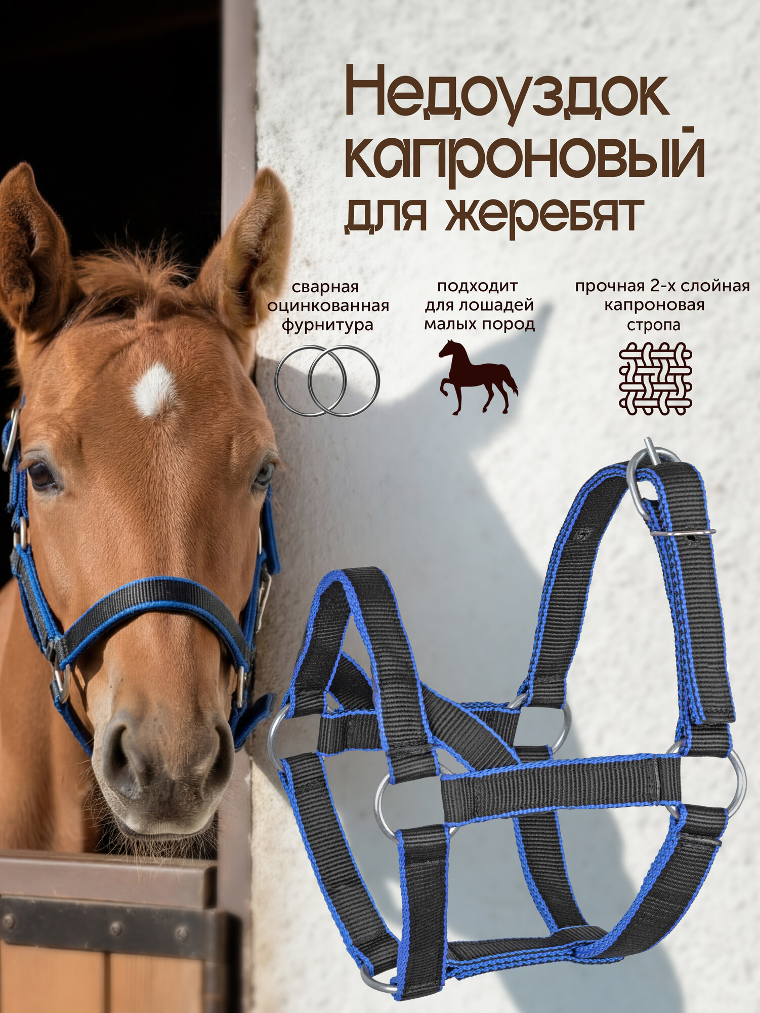 Недоуздок Reiter Pony, для жеребят, черно-синий, капрон, 25 мм