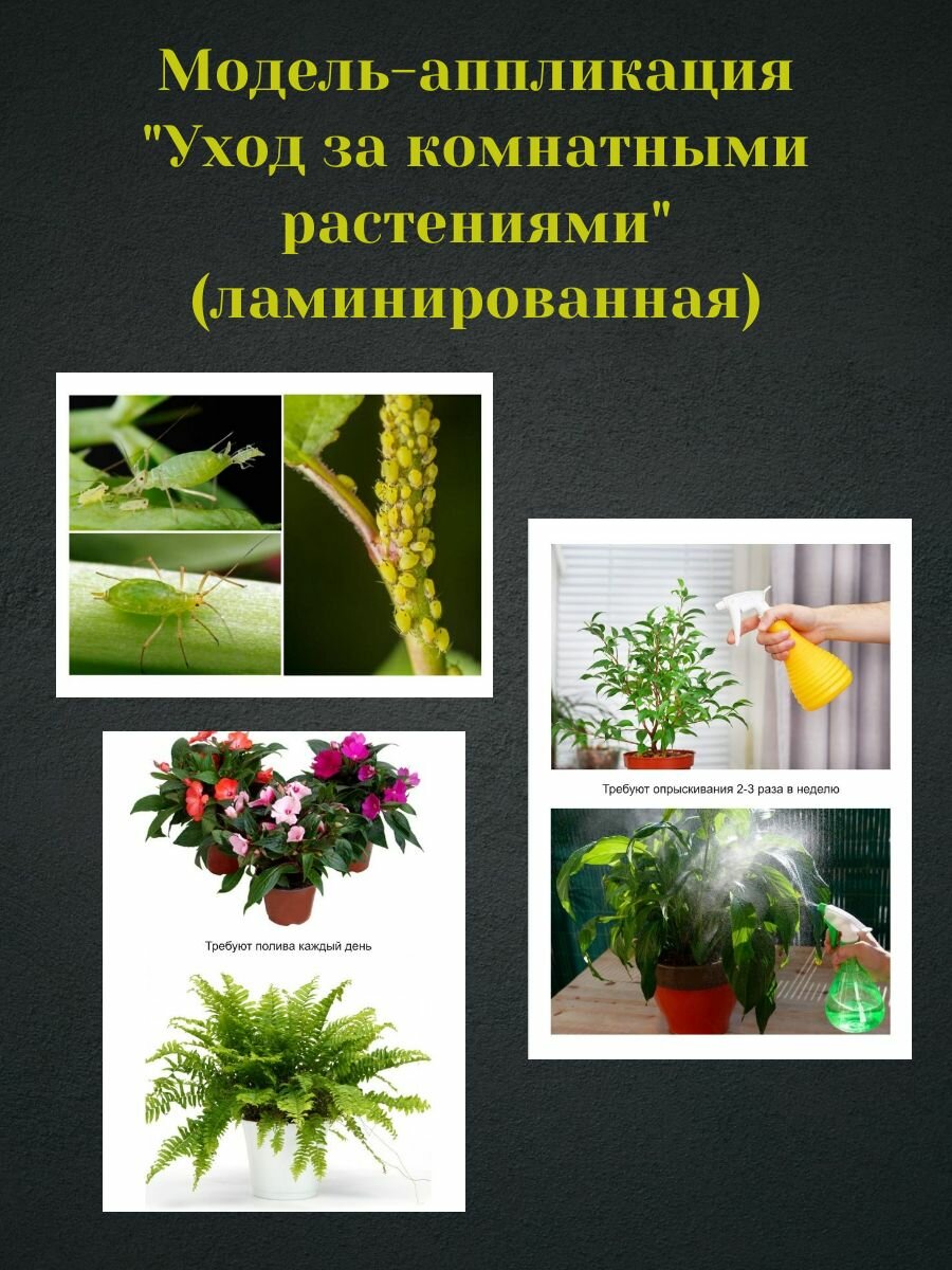 Модель-аппликация "Уход за комнатными растениями" (ламинированная)