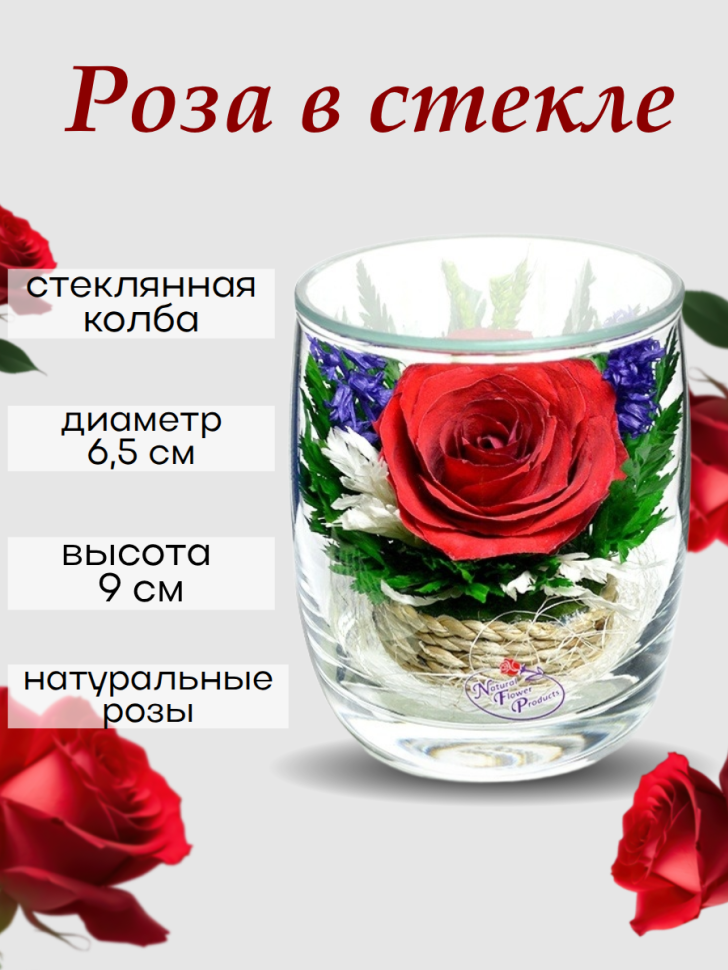 Роза в стекле SMR (9 см) Натуральные стабилизированные цветы в вакууме