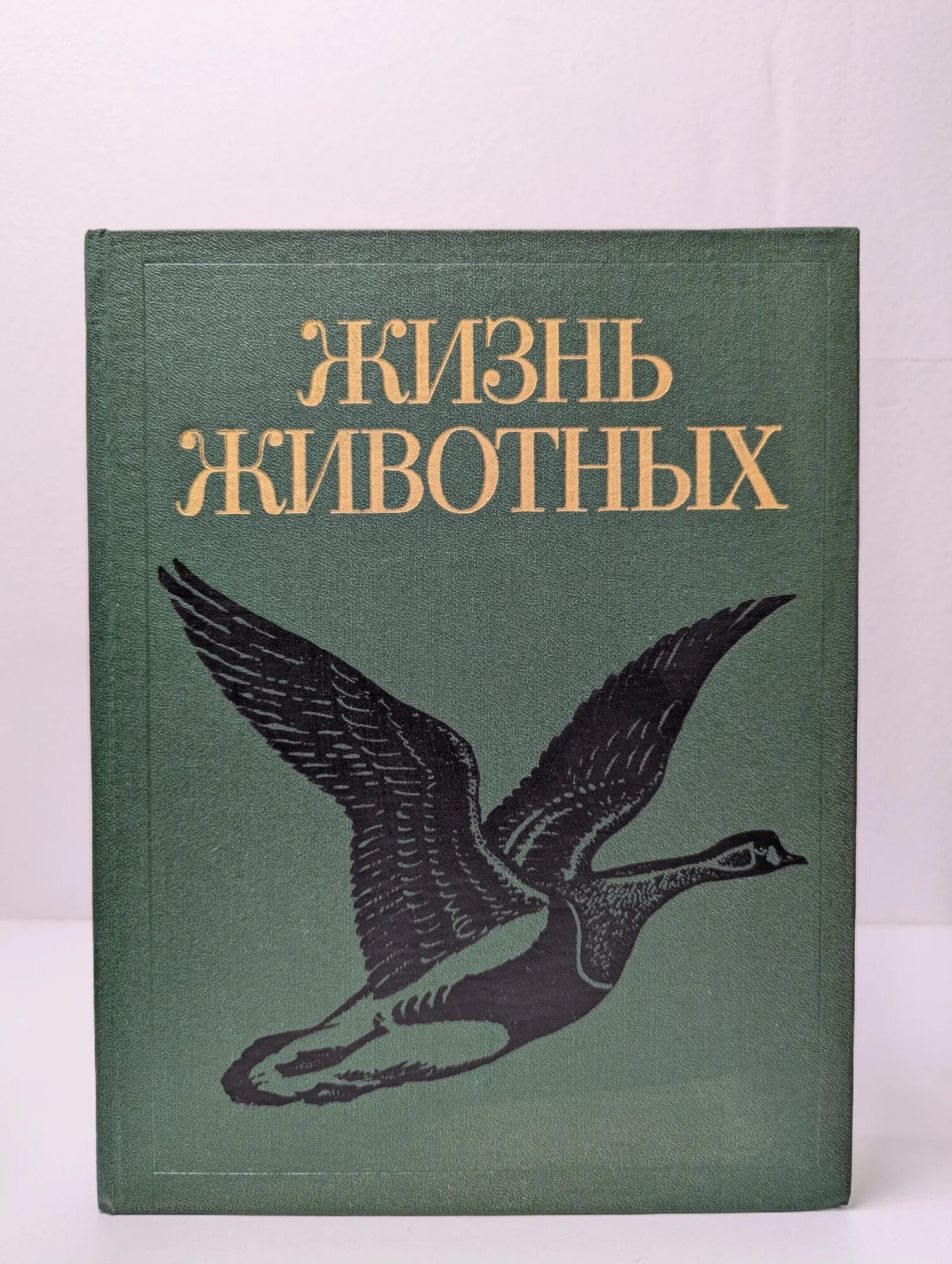 Жизнь животных. Том 6. Птицы Ильичев Валерий Дмитриевич, Михеев Алексей Васильевич (ред.) 1986
