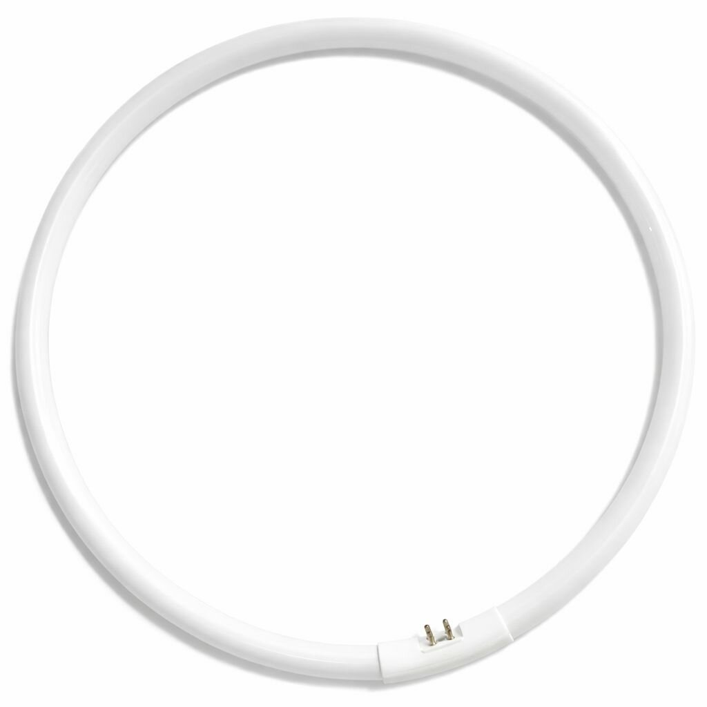 Philips Лампочка G10q T5 4pin 55w/840 3300lm Essential кольцевая