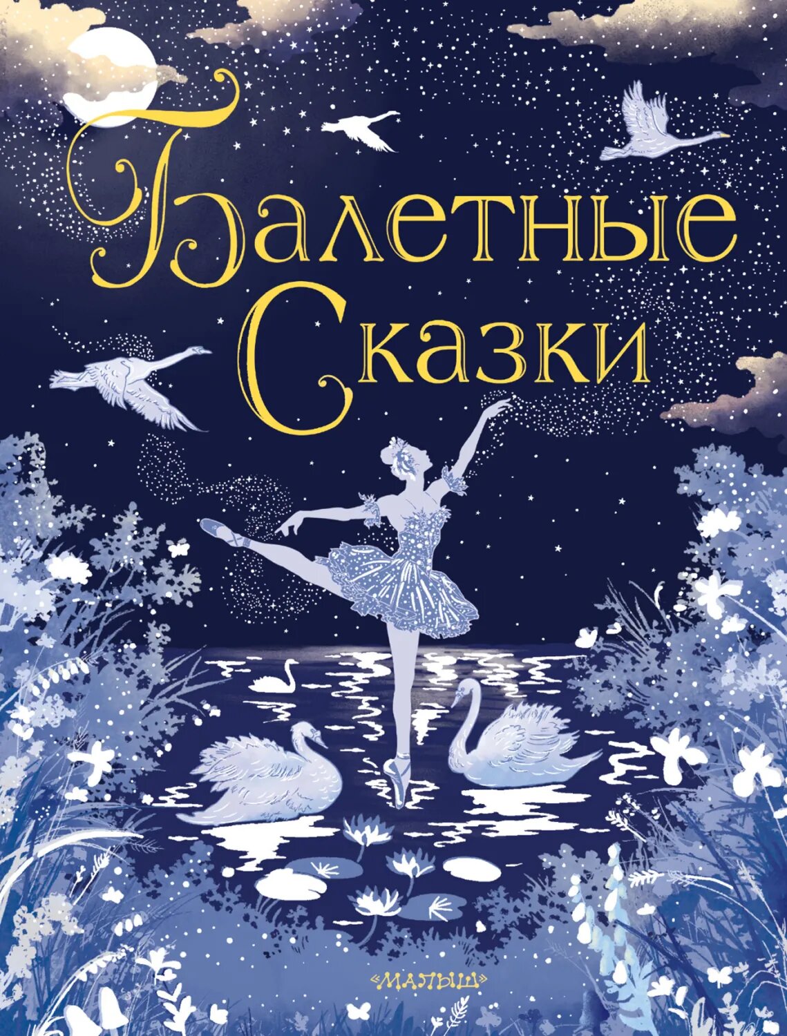 Балетные сказки [Цифровая книга]