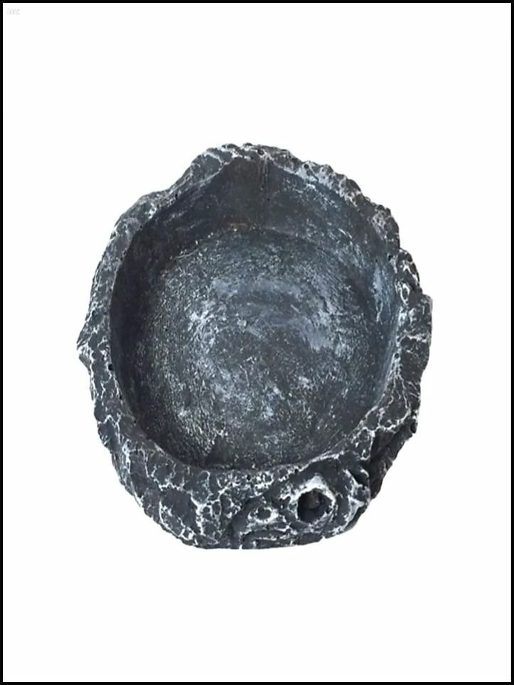 (1шт) Специальный резервуар для воды для рептилий, резервуар для корма