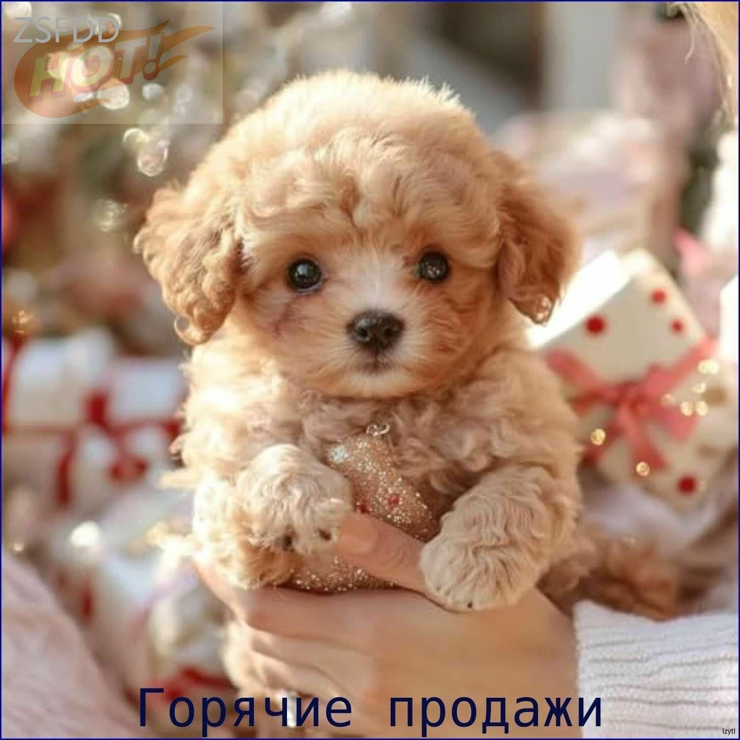 Игрушечный робот — фото 1