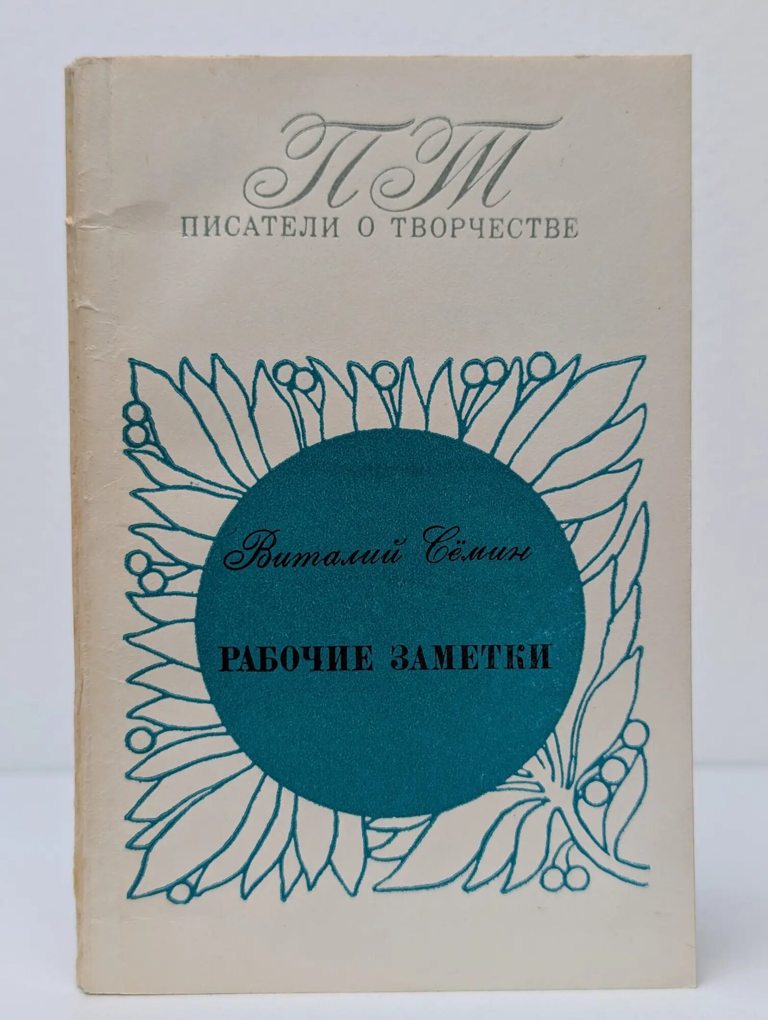 Рабочие заметки Семин Виталий 1984