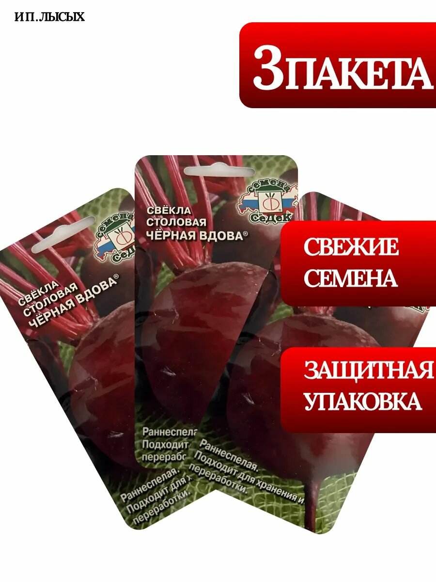 Свекла "Черная Вдова"