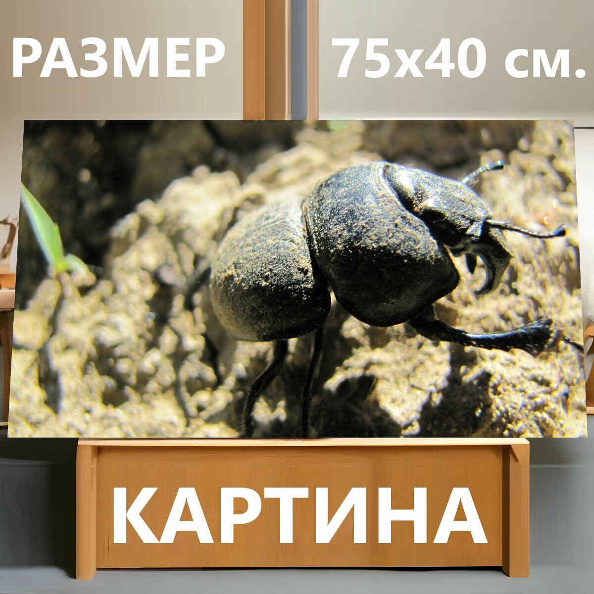 Картина на холсте "Жук, земля, животное" на подрамнике 75х40 см. для интерьера