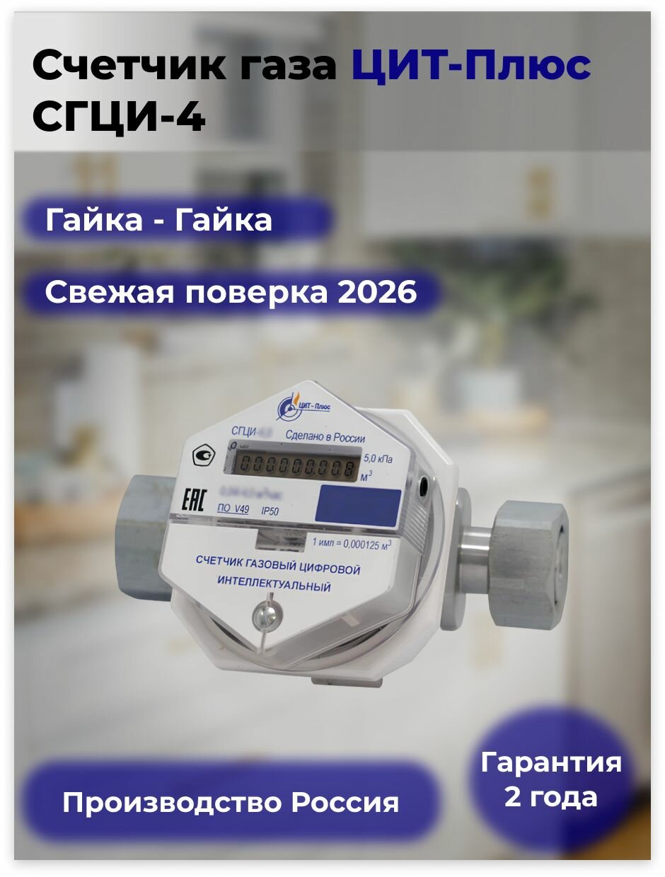 Счетчик газовый СГЦИ-4-20/М ябкю.407239.001-12 (Dn20, ГГ)