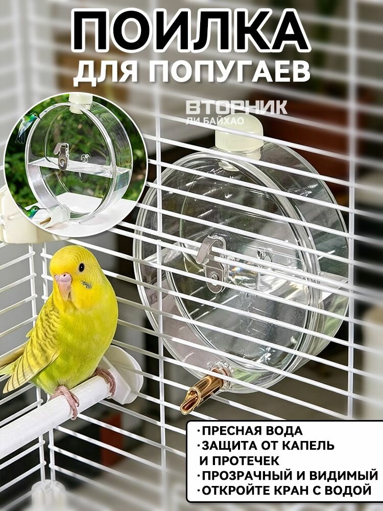 Поилка для попугаев в клетку, большая емкость и защита от капель и протечек делают питьевую воду для домашних животных более полезной