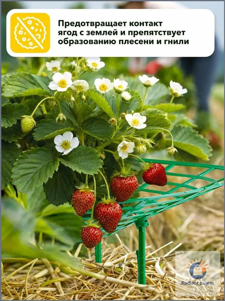 Шпалера,30см,15шт — фото 1