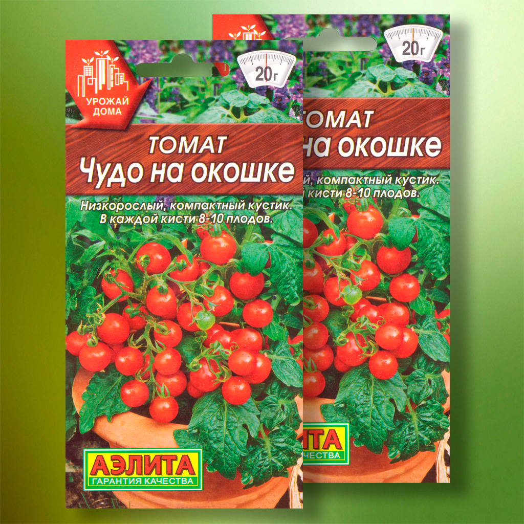 Семена томата "Чудо на окошке", изготовитель "Агрофирма Аэлита", 2шт.