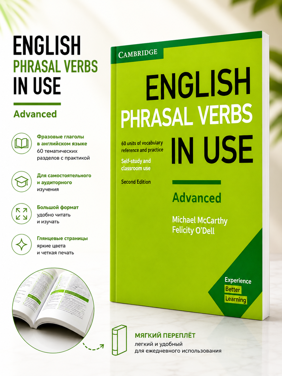 English Phrasal Verbs In Use advanced, 2 edition (полноформатный учебник)