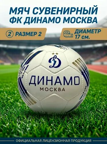 Мяч сувенирный Динамо Москва ( размер 2 )
