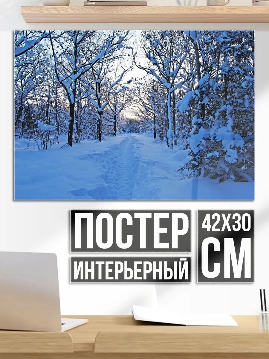 Плакат постер Зимний лес тропа