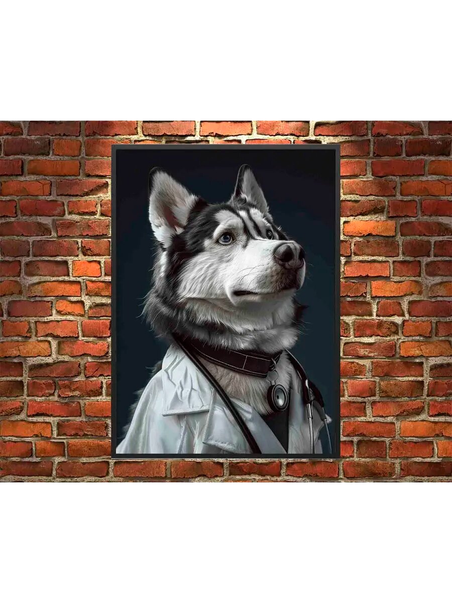 Сибирский хаски-собака-доктор 3, Плакат 30x42см