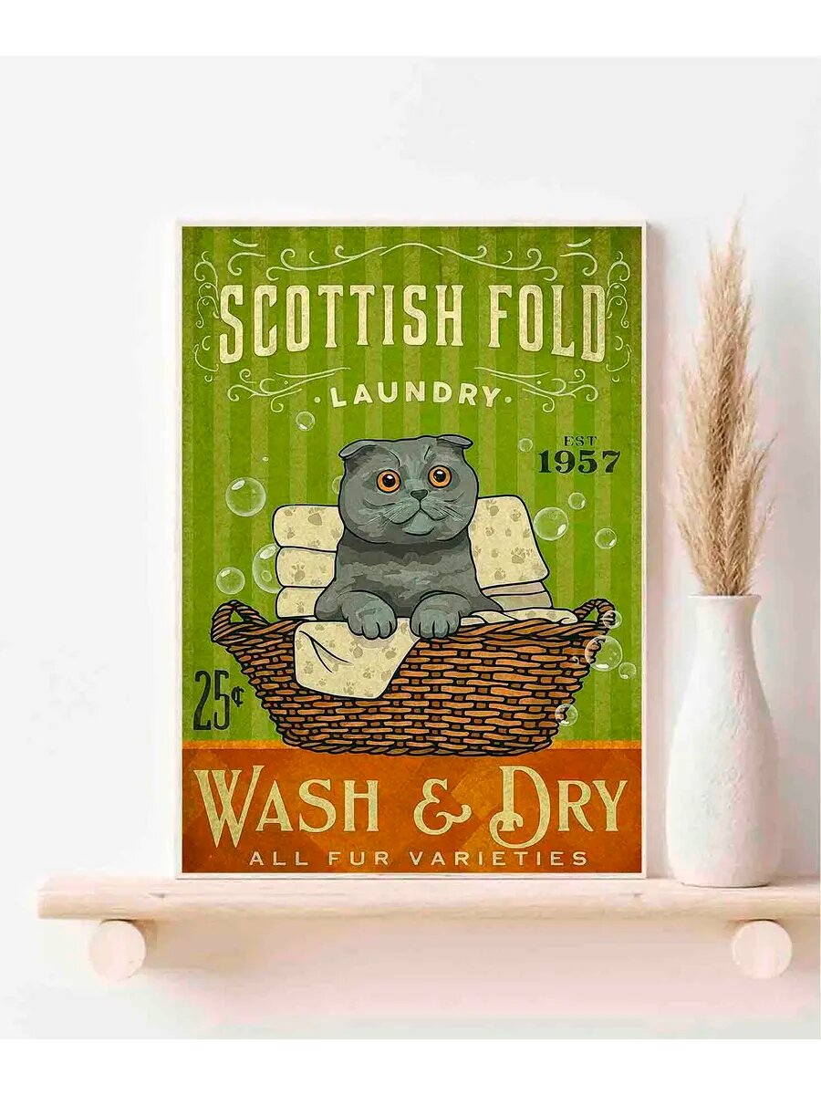 Шотландская вислоухая кошка, Wash & Dry All Fur Varieties,
