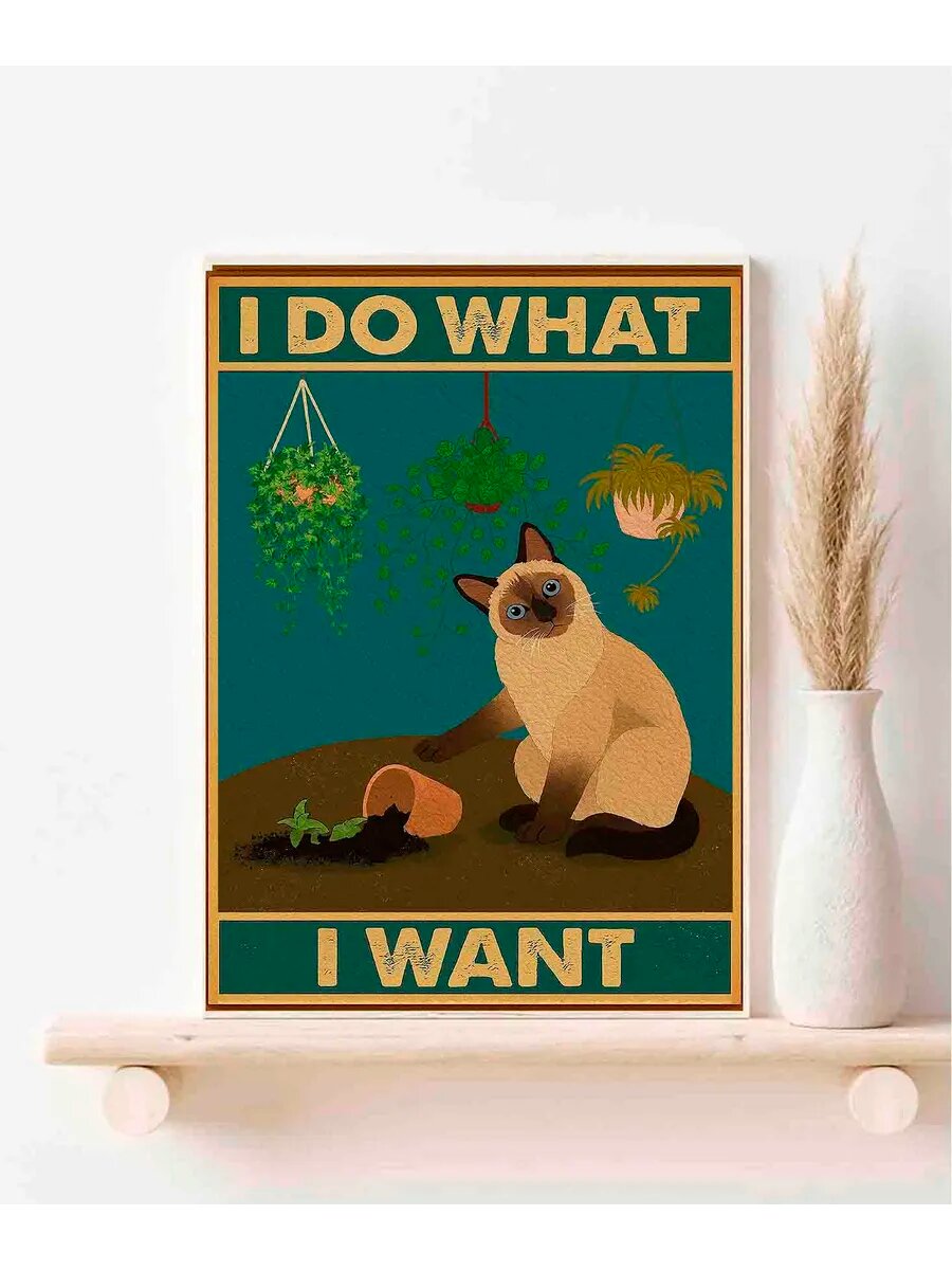 Сиамская кошка, I Do What I Want, Плакат 30x42см