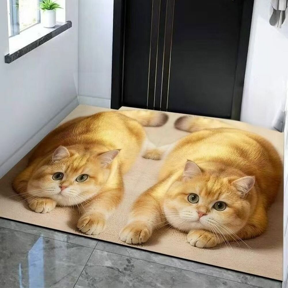 Коврик для двери спальни
