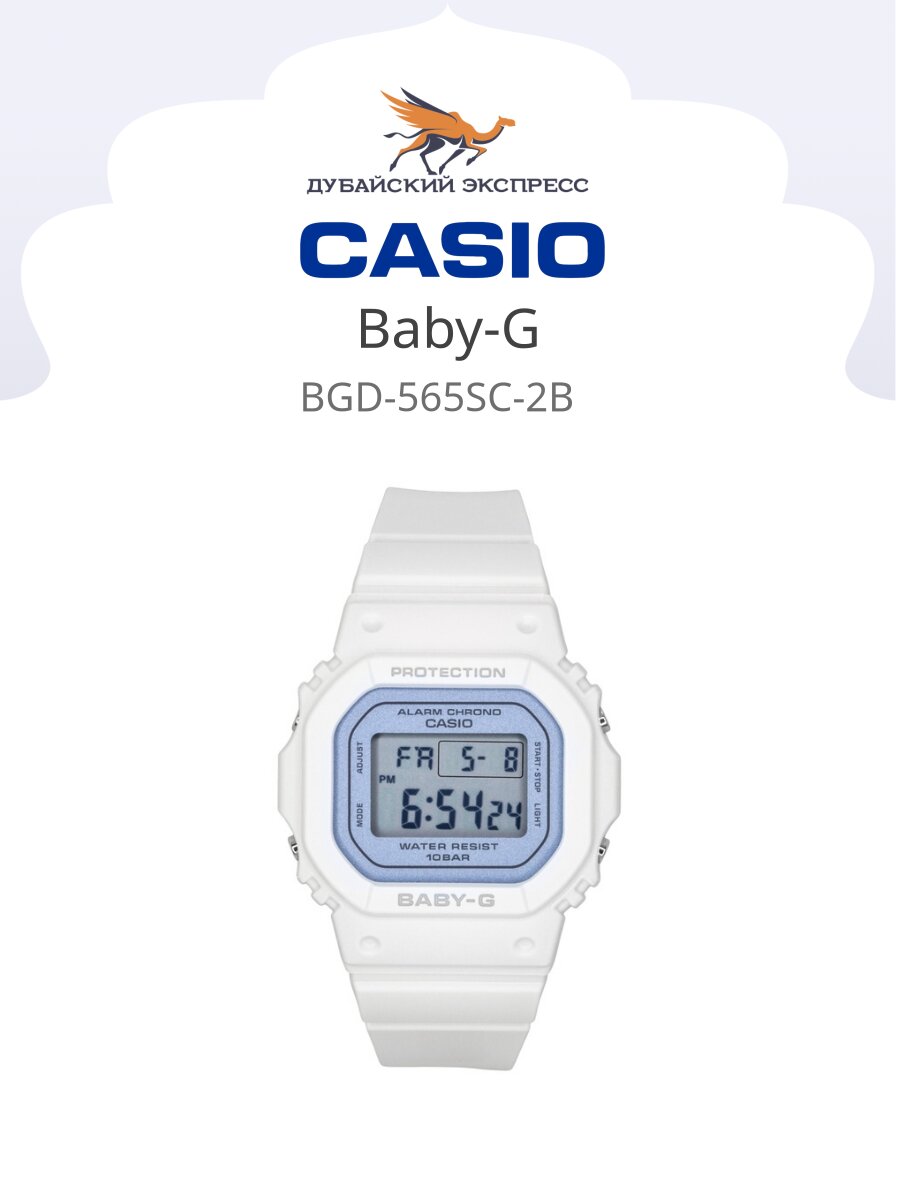  CASIO