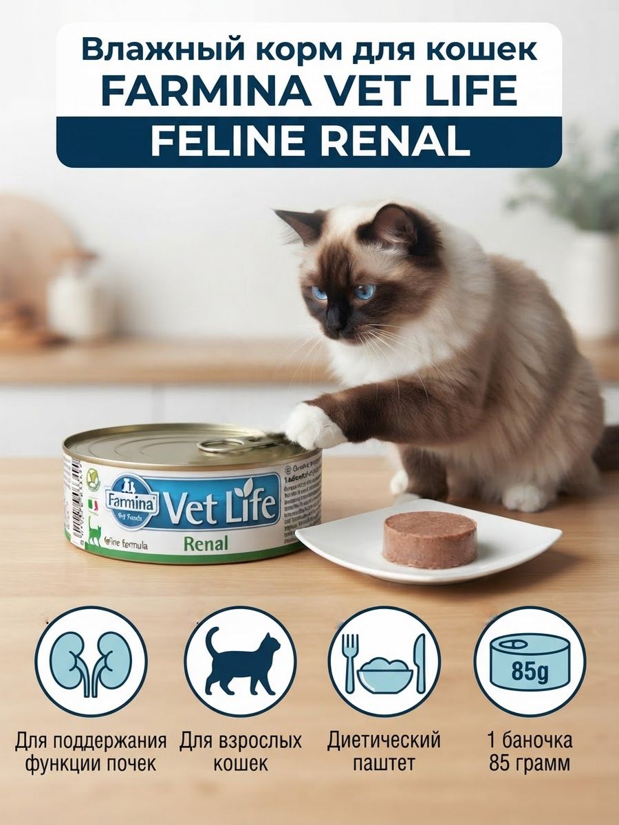 Влажный корм для кошек Farmina Vet Life Renal паштет при заболеваниях почек 1 банка 85гр
