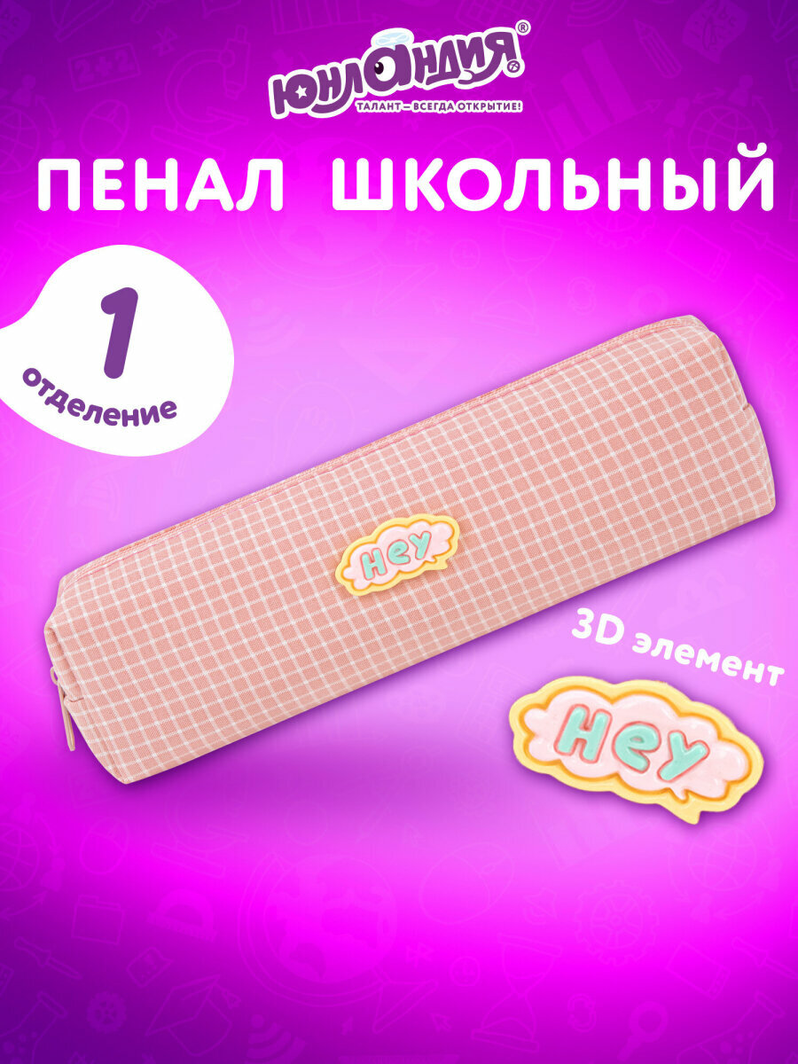 Пенал школьный для девочек, для карандашей и ручек с 1 отделением, канцелярия для школы, полиэстер, 20х6х4 см, Юнландия, 273801