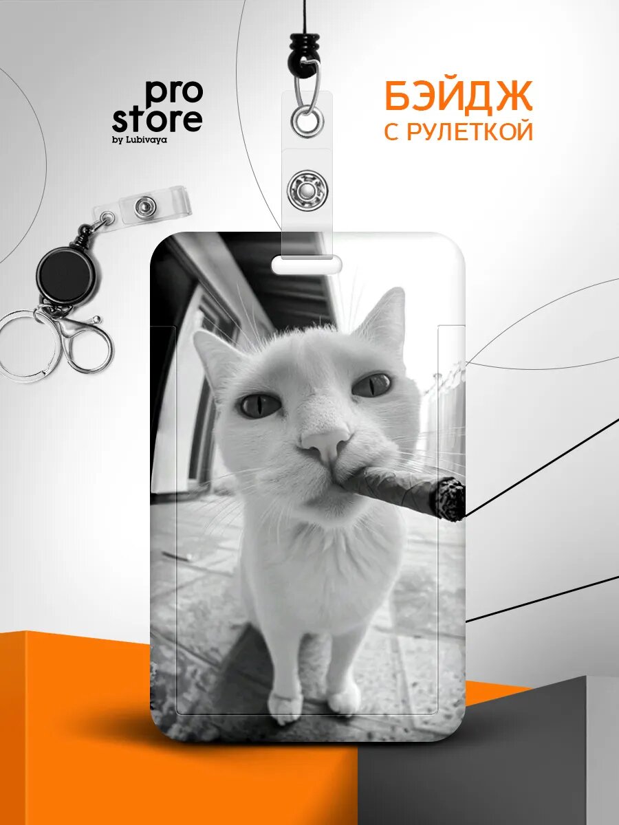 Бейдж с рулеткой, с рисунком, чехол на пропуск, бейджик для пропуска с принтом, пластик