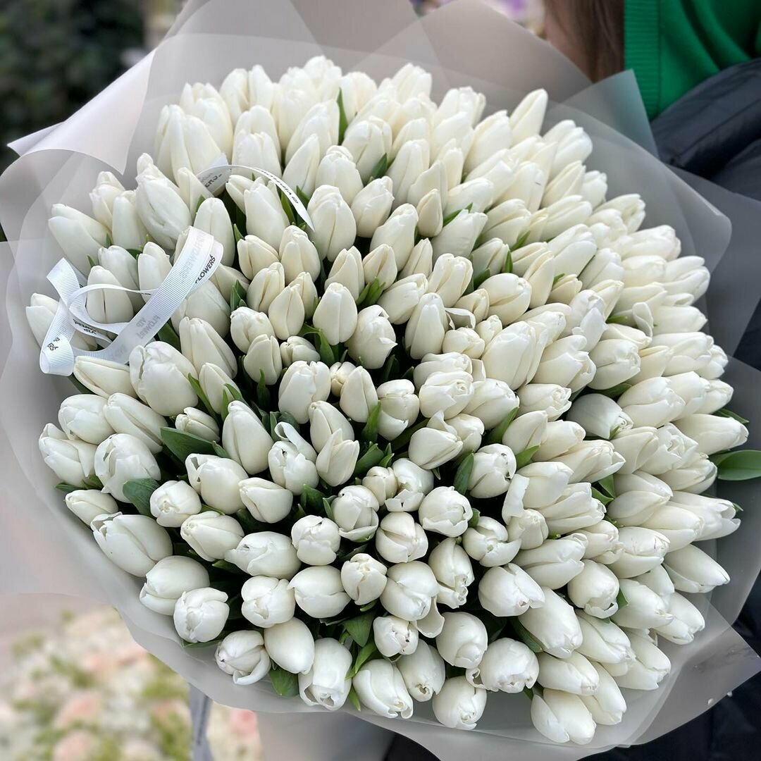 Букет из белых тюльпанов 101 шт, красивый букет цветов, шикарный, премиум цветы, премиум букет